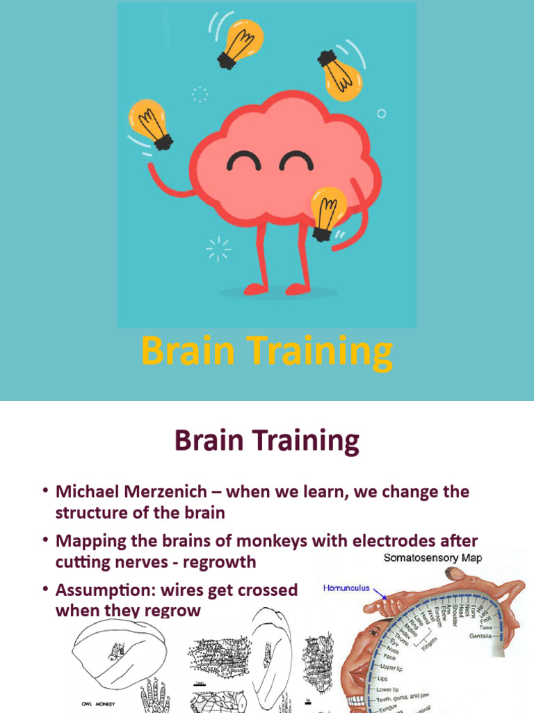 Brain Training | PDF | Hippocampus | Brain