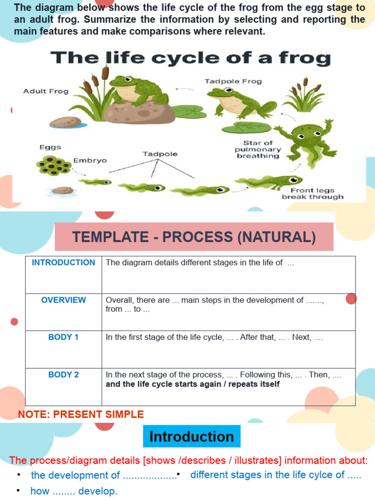 Writing Task 1 - Process - Natural | PDF