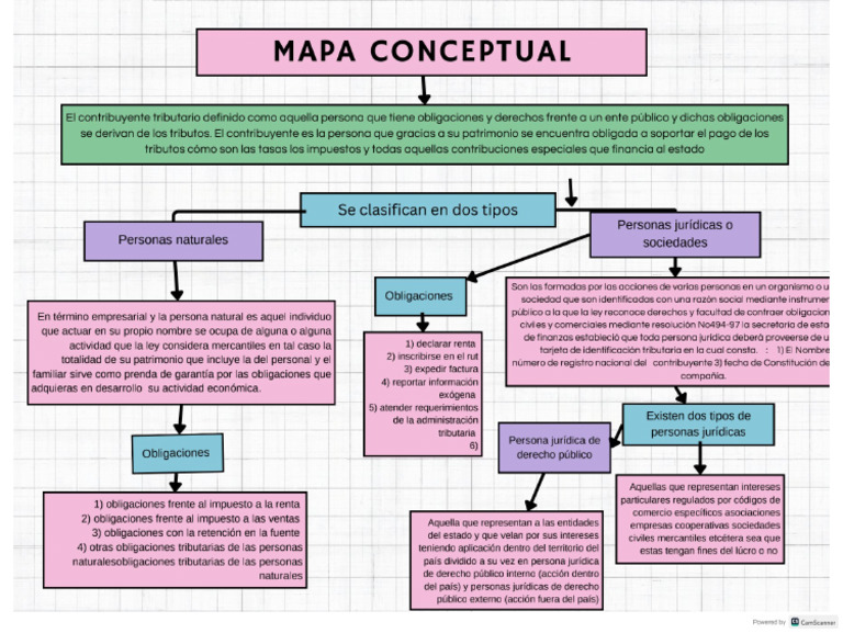 Gráfica Mapa Conceptual Simple Colorido _20240524_183644_0000 | PDF