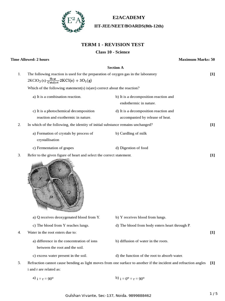 Term 1 - Revision Test | PDF | Cellular Respiration | Chemical Reactions