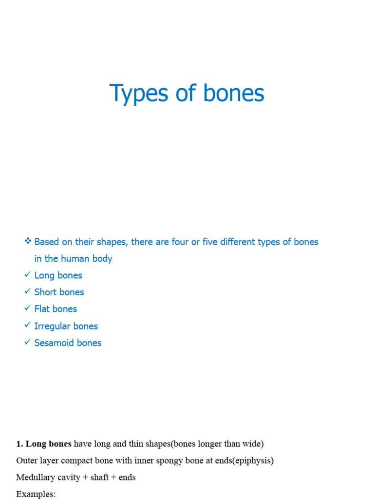 Types of Bones | PDF