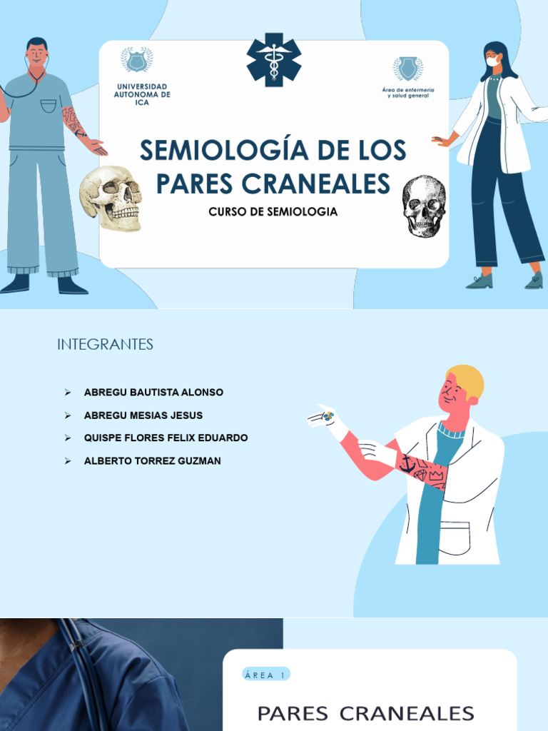 Semilogia Del Pares Craneales Ii | PDF | Nervio | Anatomía