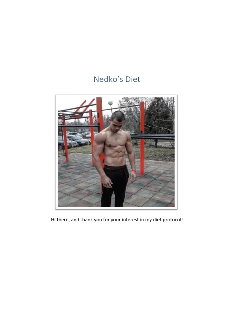 NEDKO - DIETvzjjzj | PDF