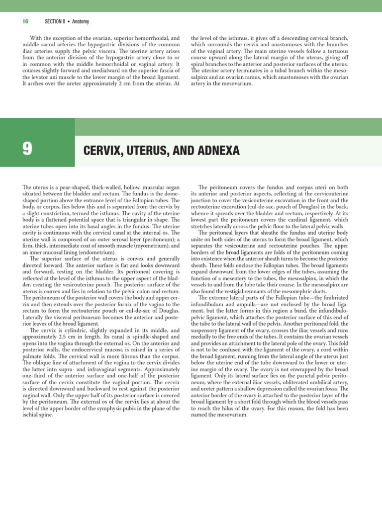 Uterine Anatomy and Vascular Supply | PDF | Uterus | Ovary