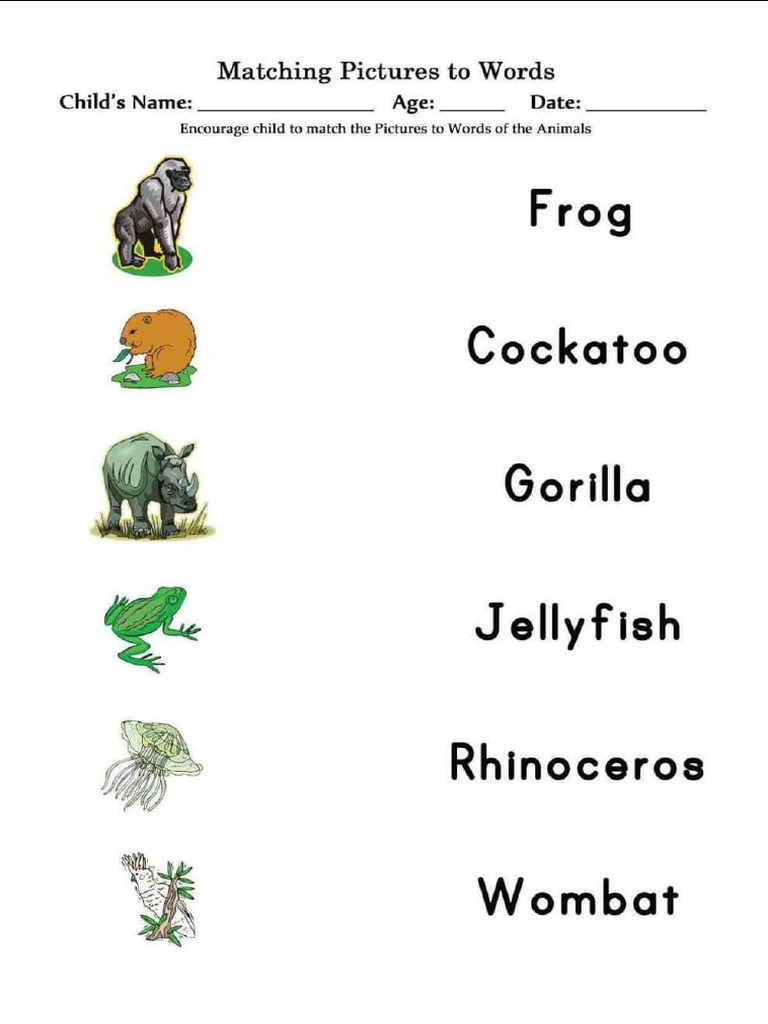 Matching Worksheets | PDF