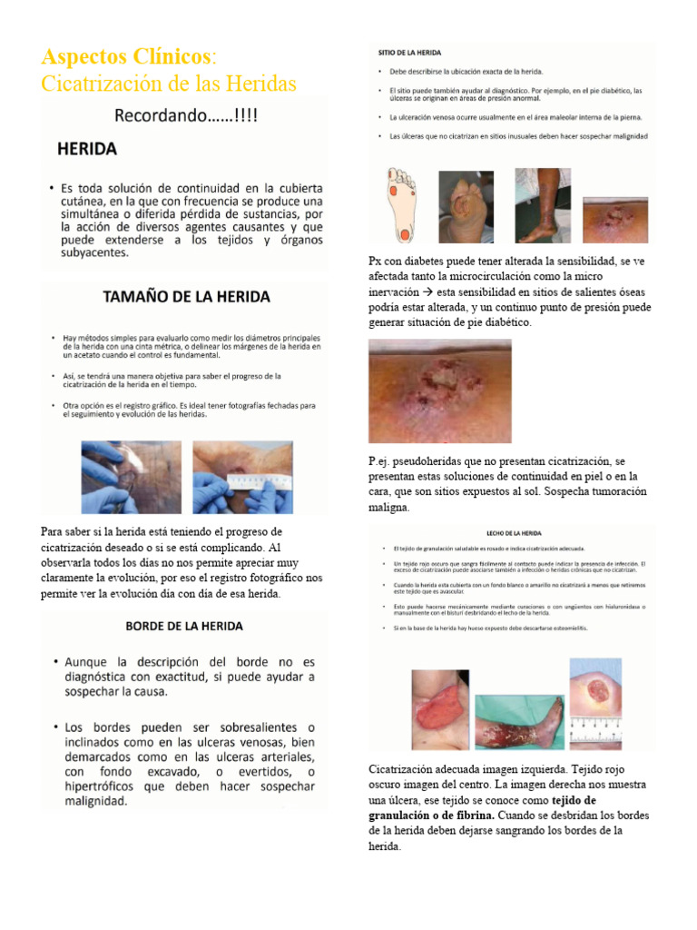 3 T&O 02 02 23 Aspectos Clínicos Cicatrización de las Heridas | PDF | Herida | Cicatrización de ...