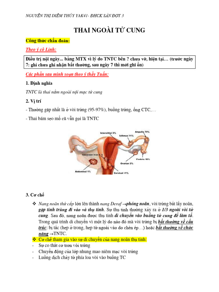 Thai Ngoài T Cung | PDF