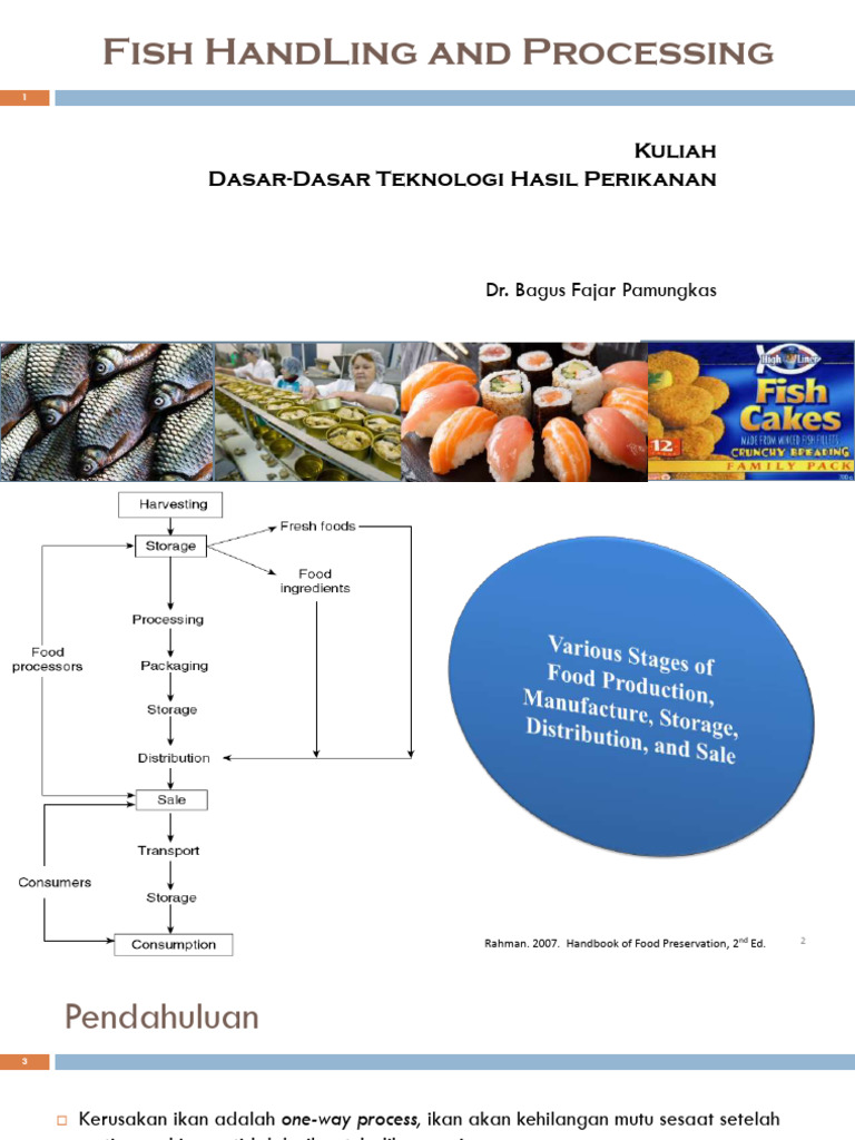 Fish Handling & Processing | PDF