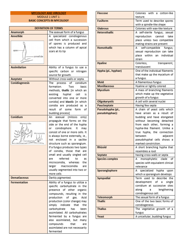 Mycology and Virology M1u1.1 | PDF | Fungus | Organisms