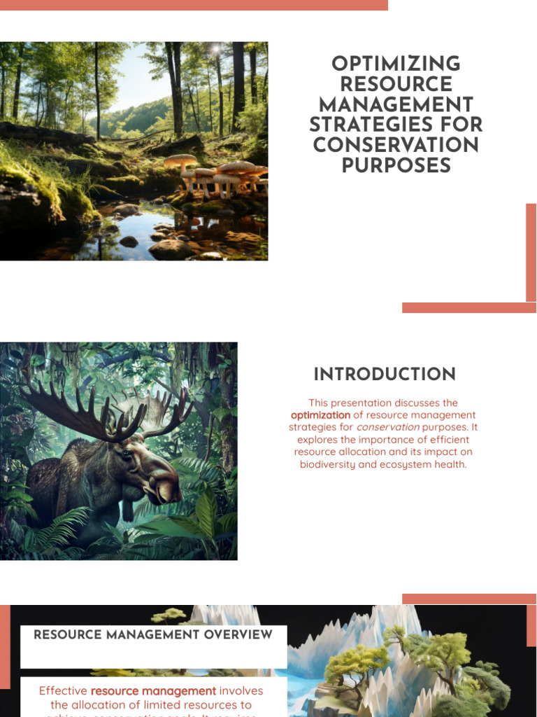 Slidesgo Optimizing Resource Management Strategies For Conservation Purposes 20240621171030kIWa ...