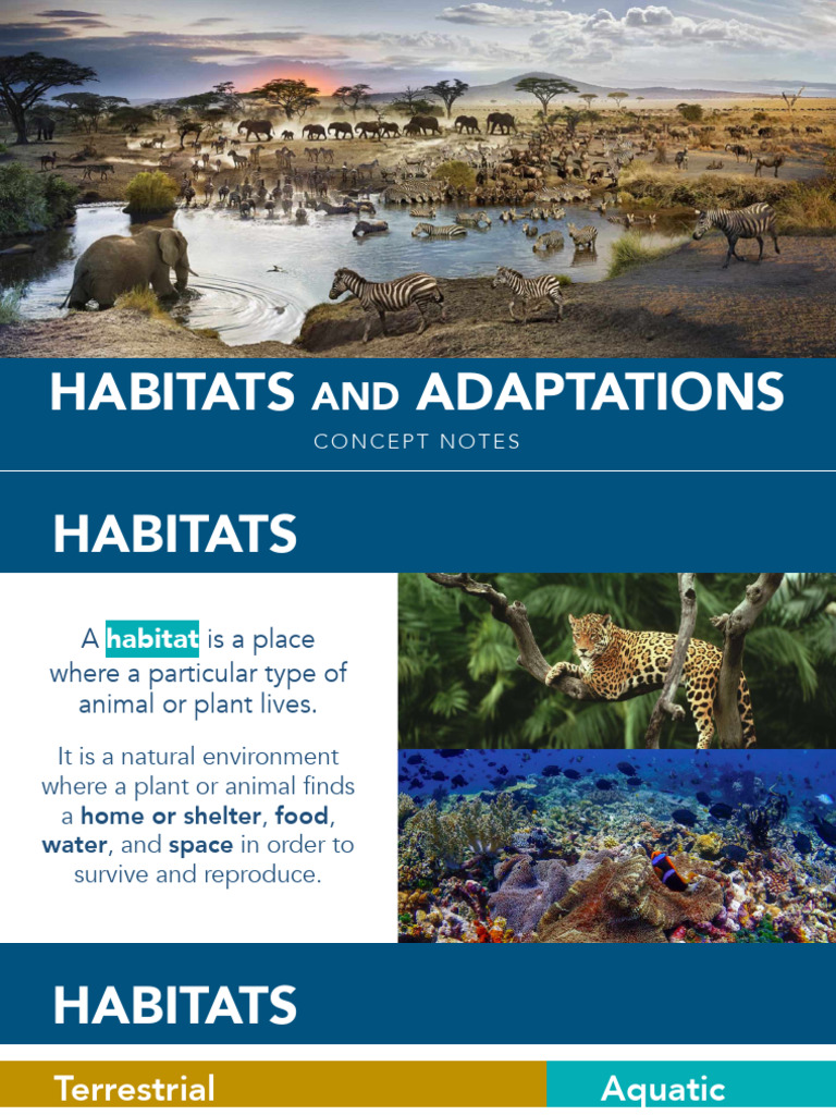 Concept Notes (Compressed) - HABITATS & ADAPTATIONS Science 4 | PDF ...