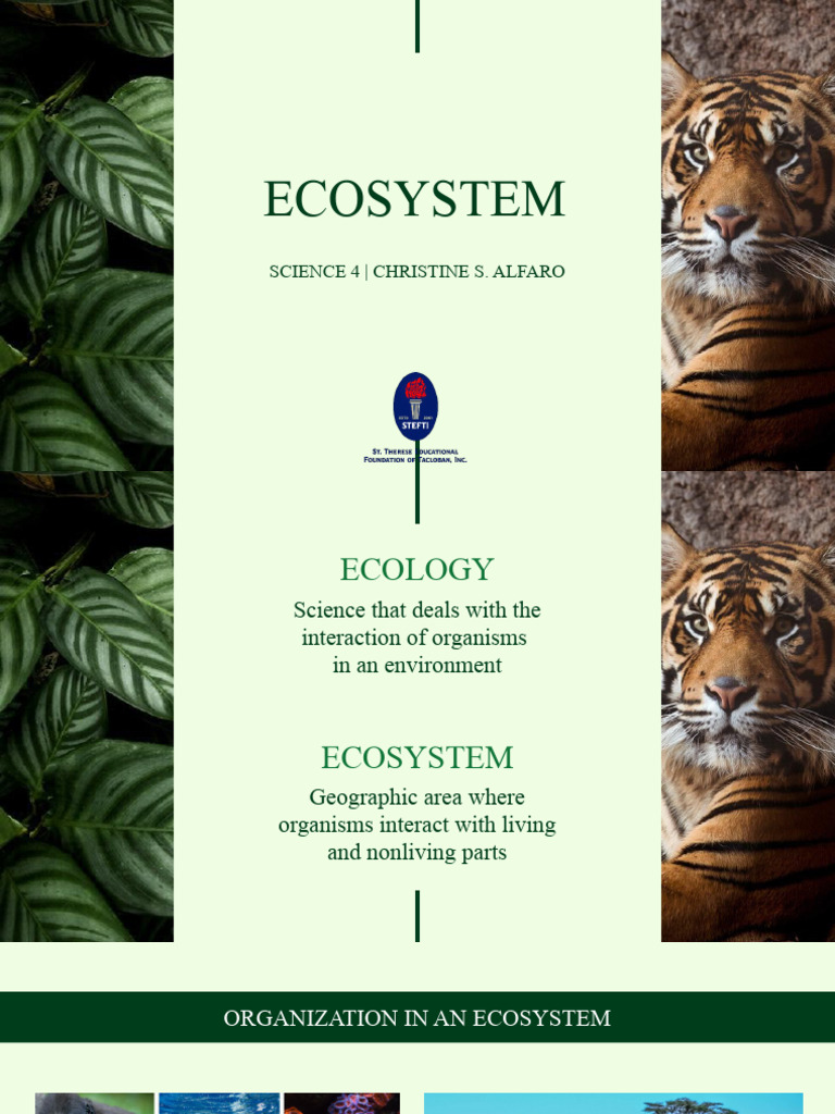 ECOSYSTEM | PDF | Ecosystem | Natural Sciences