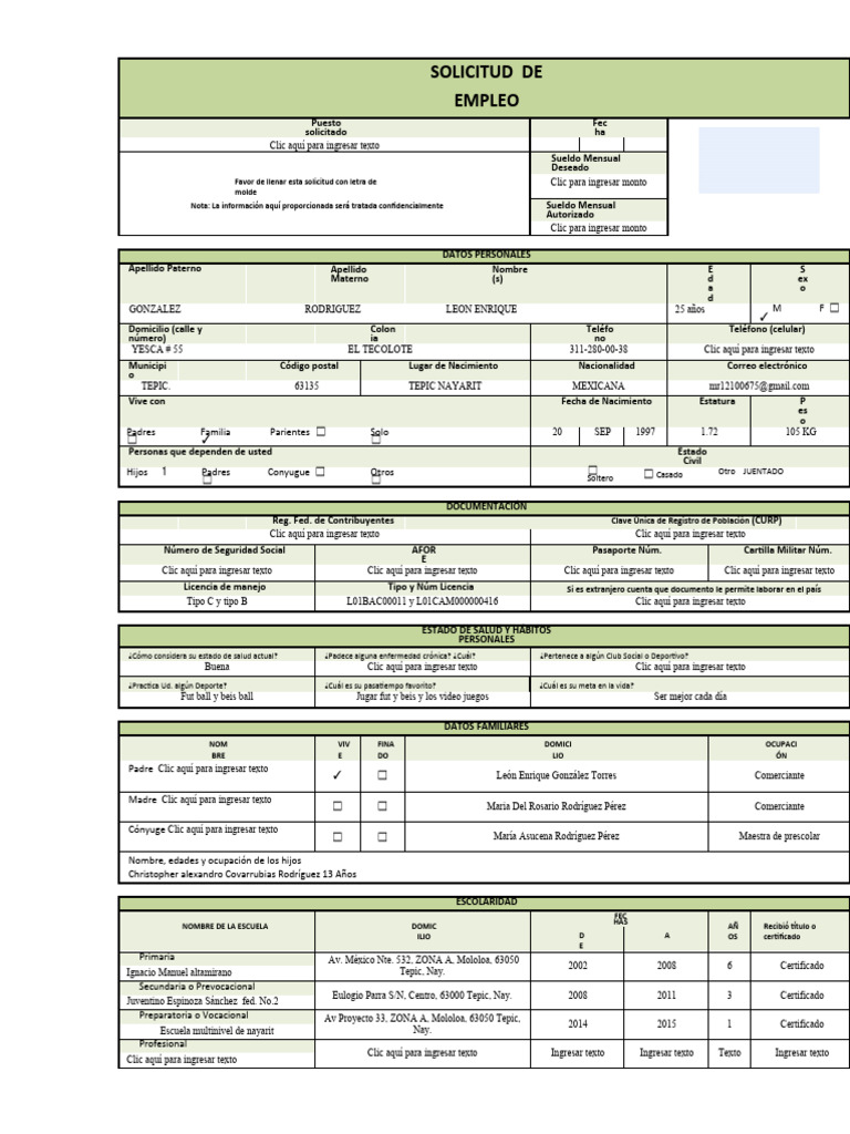 Formato Solicitud de Empleo Word | PDF | Comunicación escrita