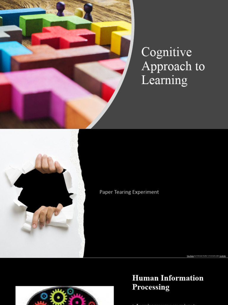 Cognitive Learning and Memory Strategies | PDF | Memory | Information