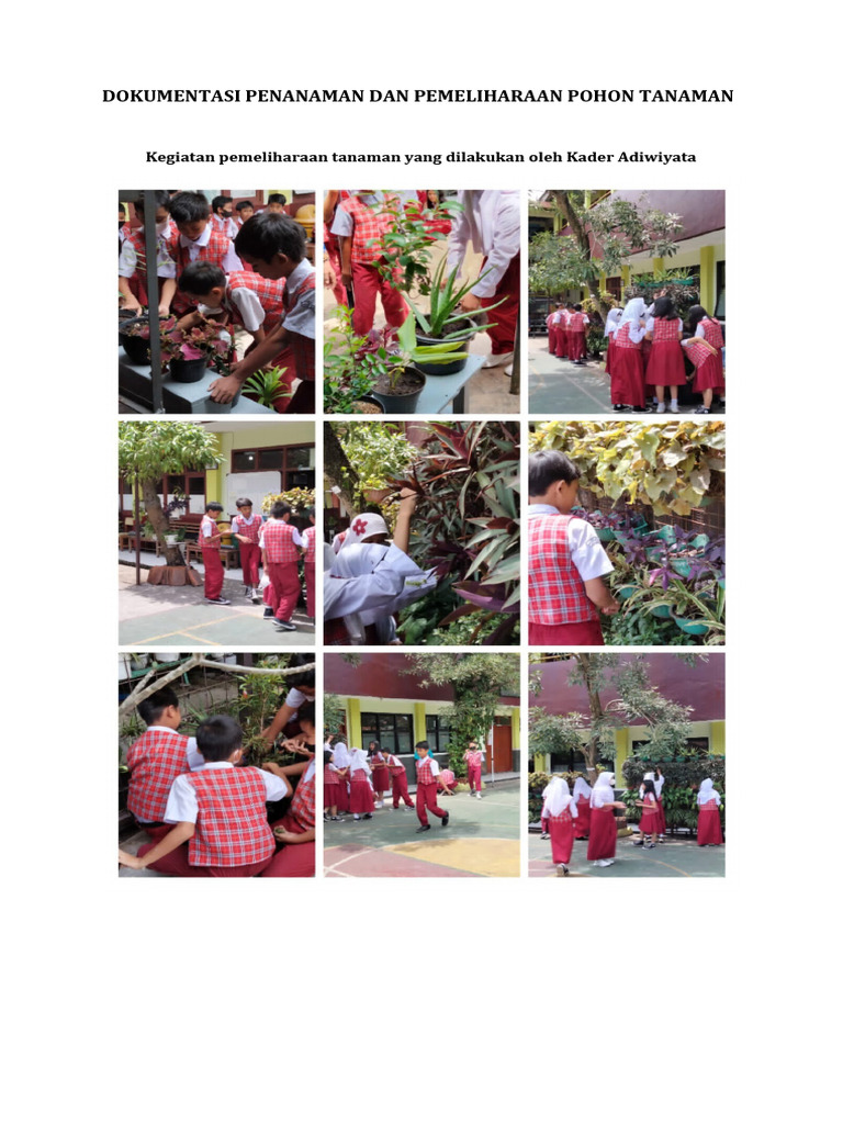 Dokumentasi Penanaman Dan Pemeliharaan Pohon Tanaman | PDF