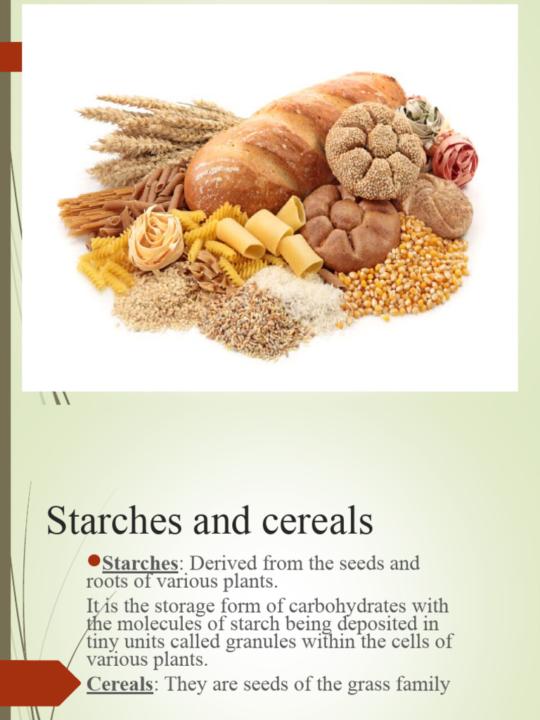 Starch and Cereal Properties and Uses | PDF | Starch | Cereals