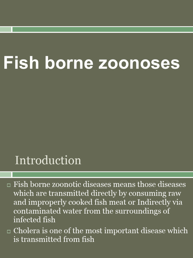Fish Borne Zoonotic Diseases_ Parvej | PDF | Cholera | Diseases And ...