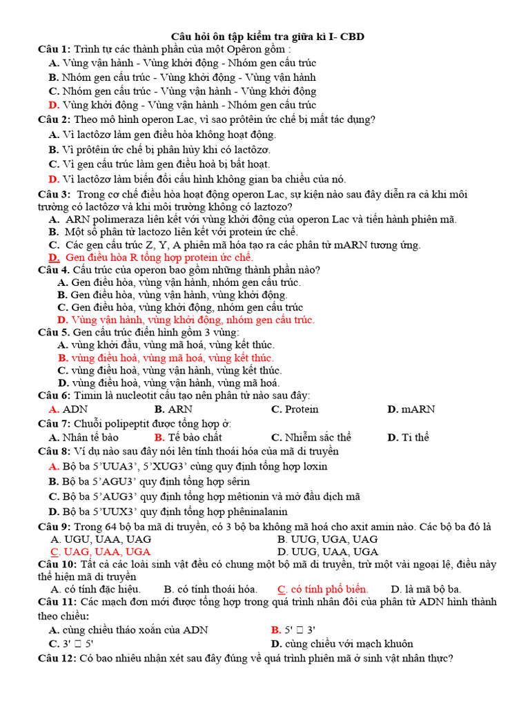 CBD 12 Câu hỏi KTGKI | PDF