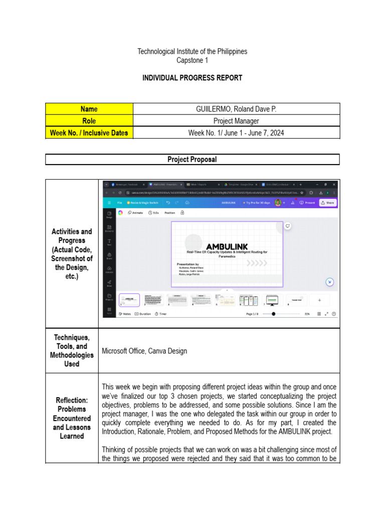 GUILLERMO - Individual Progress Report Week 1 | PDF | Career & Growth | Business