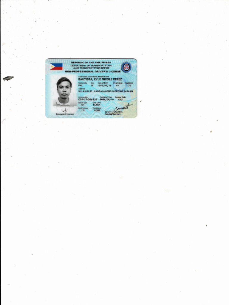 Drivers License | PDF
