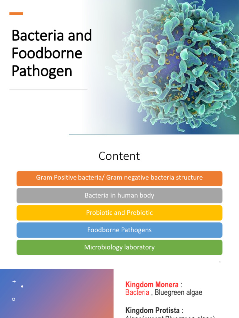 Understanding Foodborne Pathogens | PDF | Pathogen | Bacteria