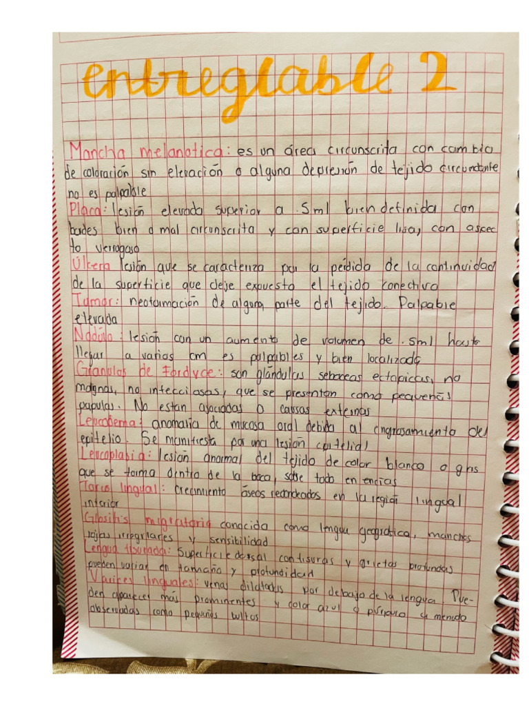 2do y 3er Entregable | PDF