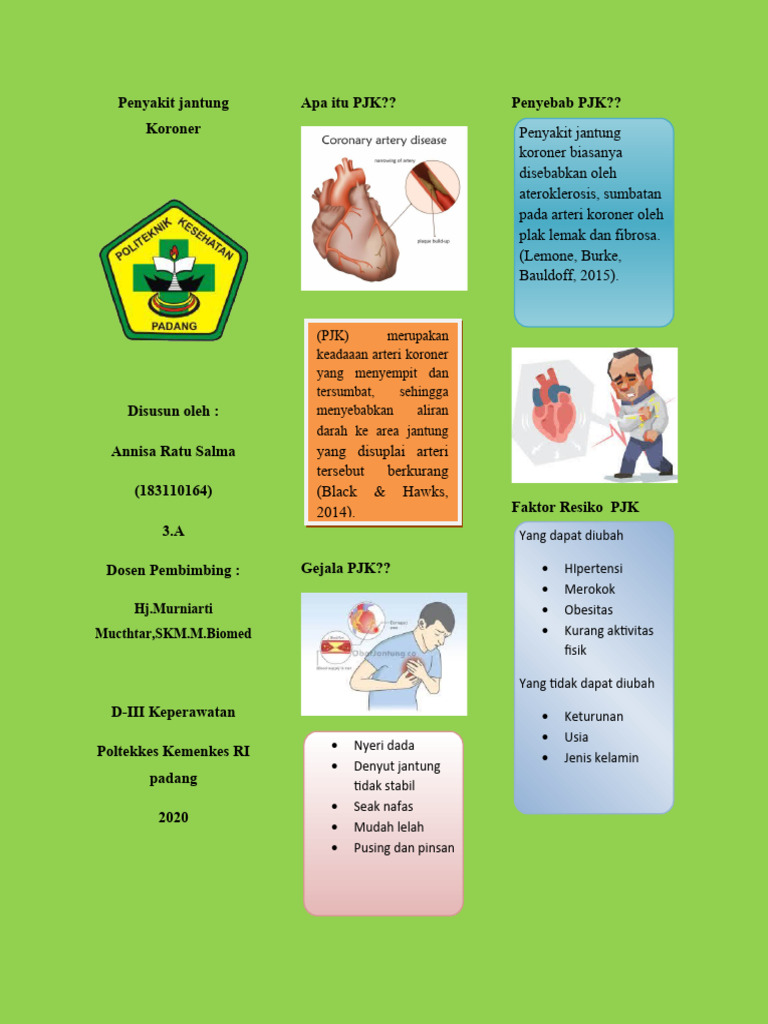 Leaflet PJK - Annisa Ratu Salma 3A | PDF