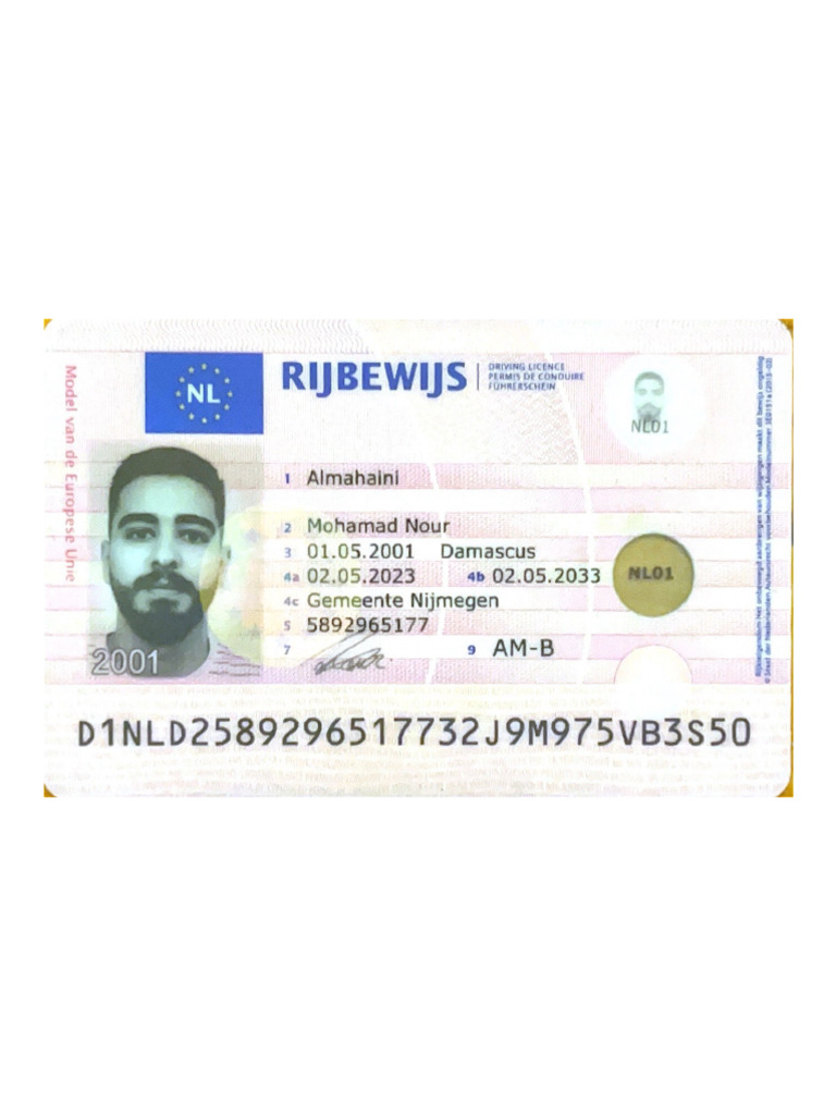 Driving Licence | PDF