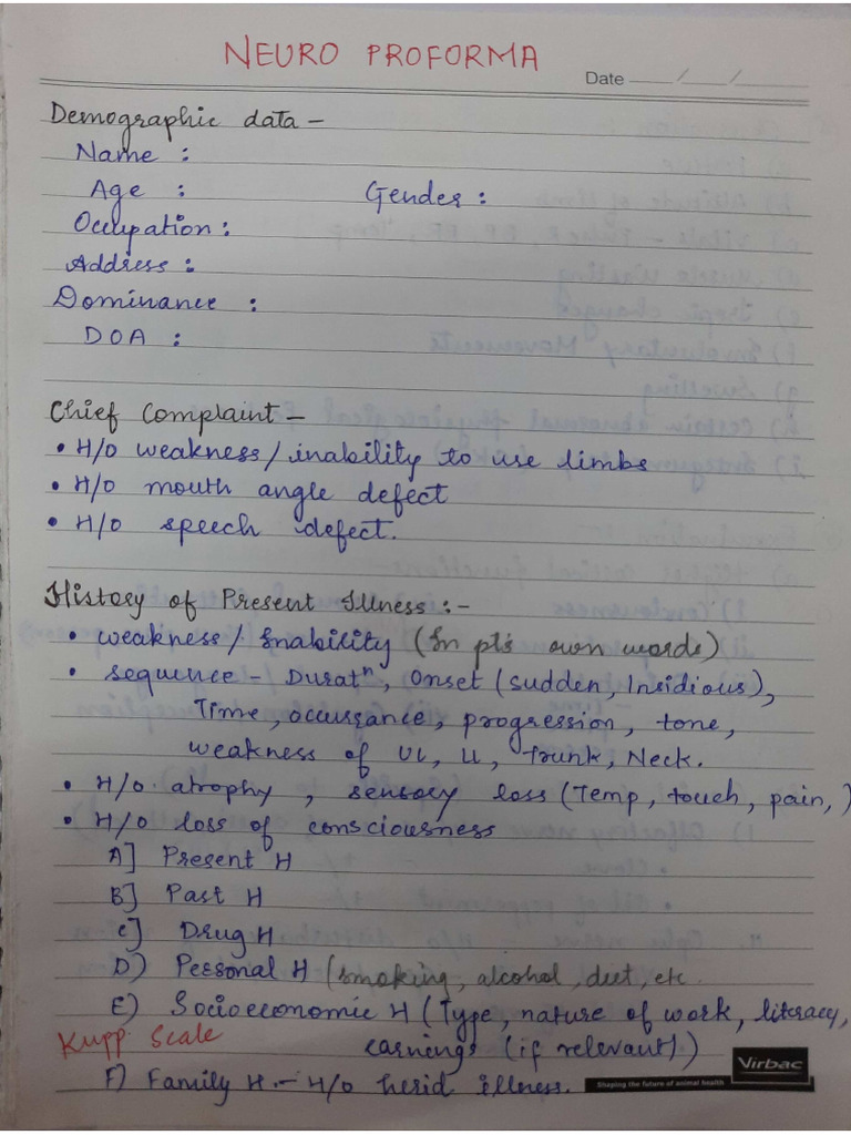 Neuro Proforma | PDF