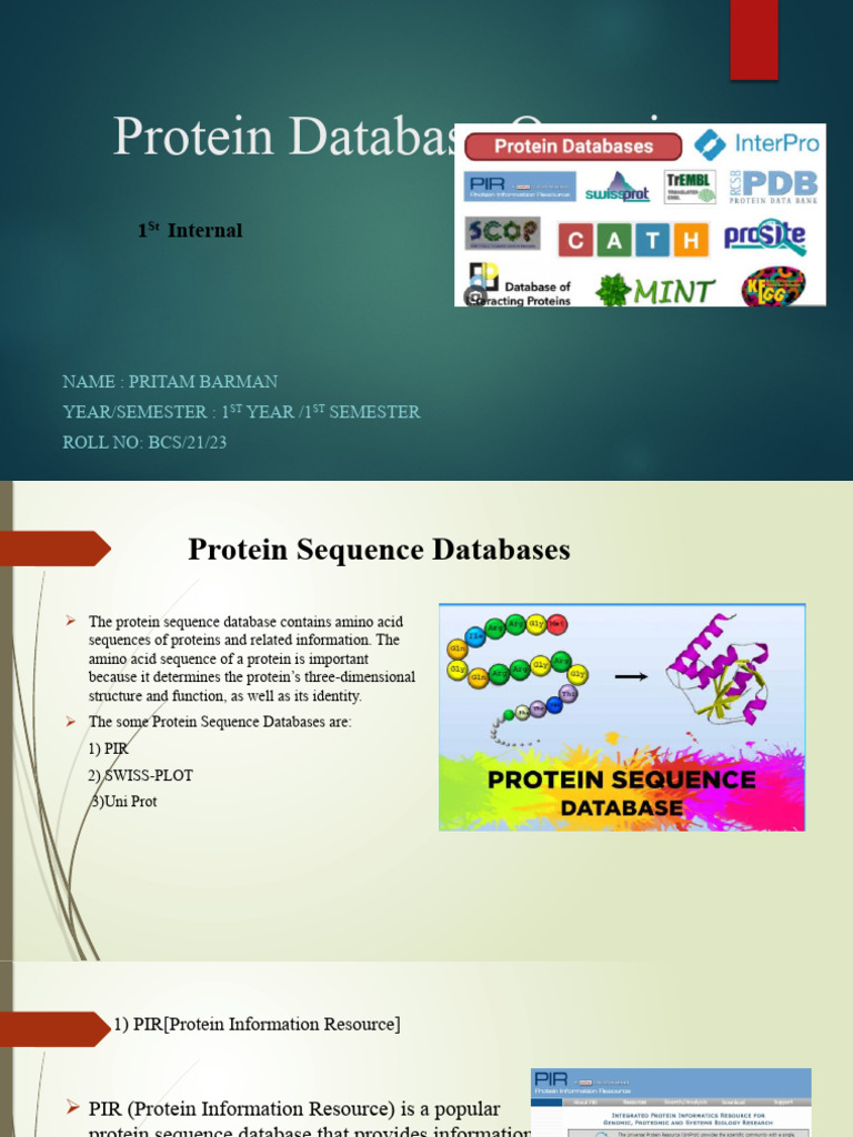 Protein Database Overview | PDF | Protein Structure | Proteins
