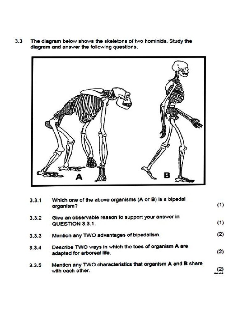 Document 172 | PDF