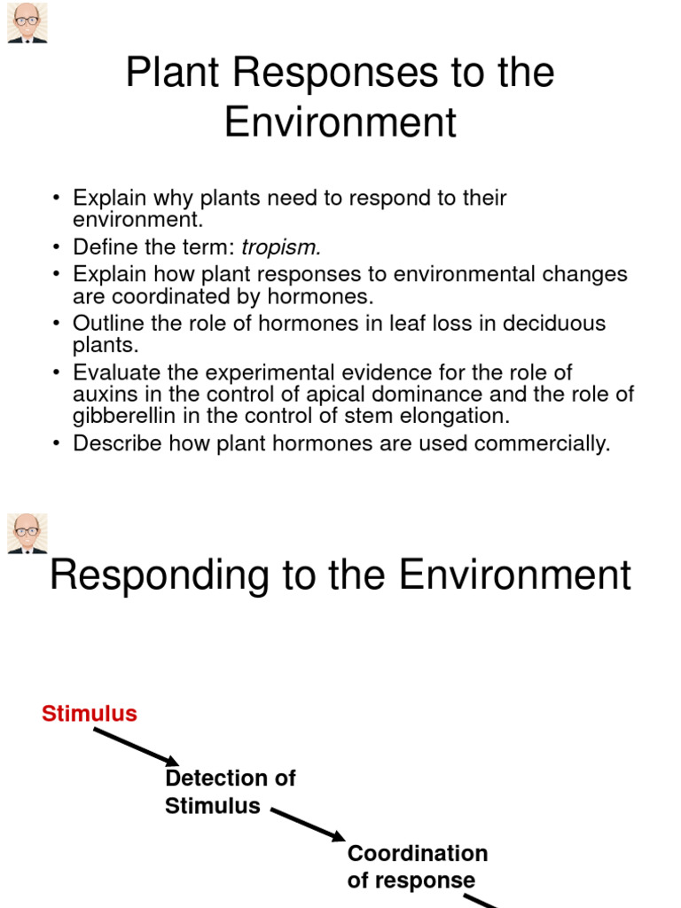 47 Pu94 Plant Responses To The Environment PDF | PDF | Auxin | Plant ...
