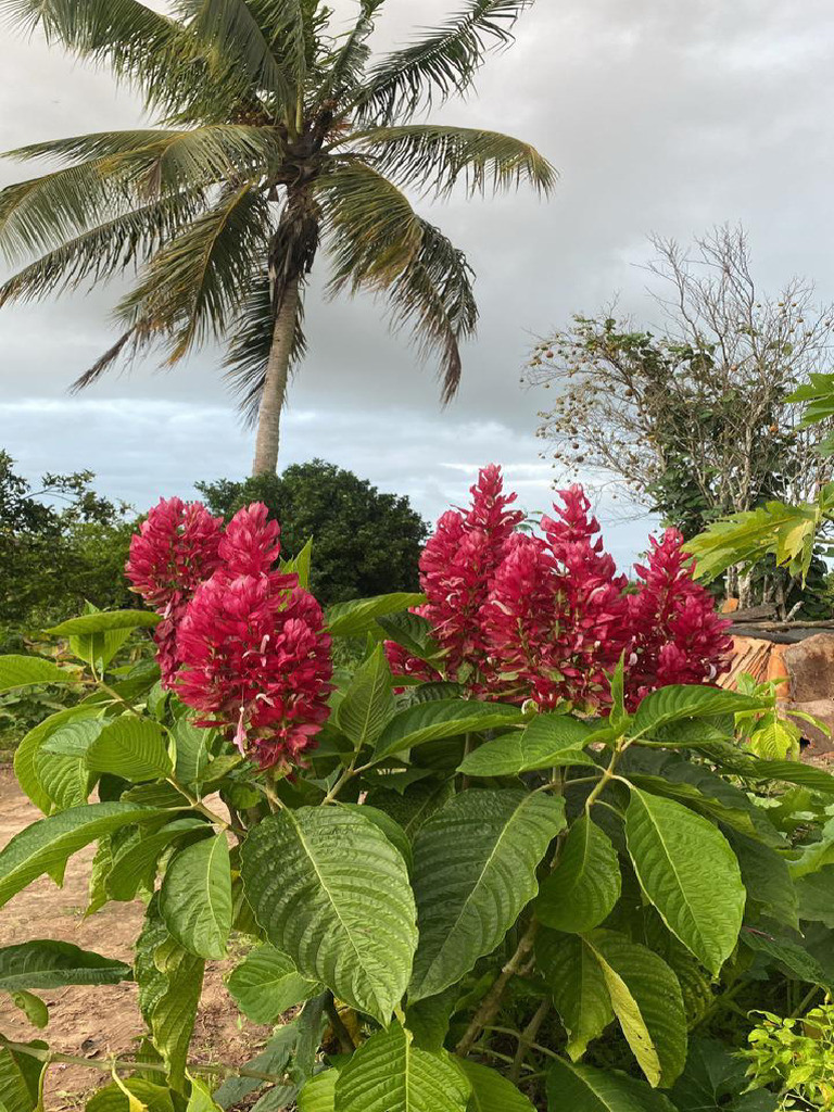 Roda Gigante Tutorial | PDF