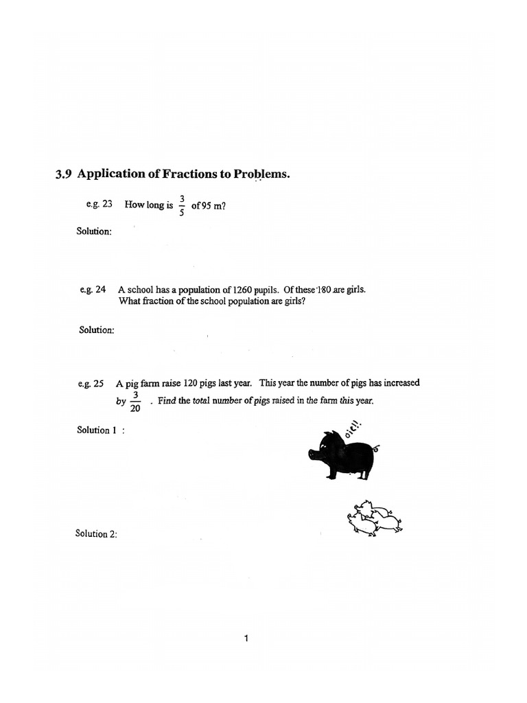 Fractions Year 7 Student | PDF