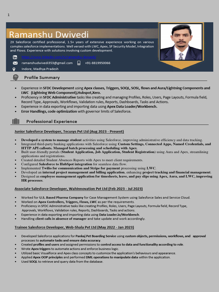 Ramanshu Final Updated Resume On 15-06-2024 | PDF | Application Software | Computer Programming