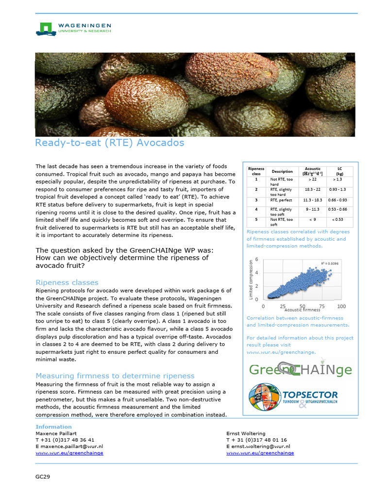 Determining Avocado Ripeness Accurately | PDF | Avocado | Convenience Food