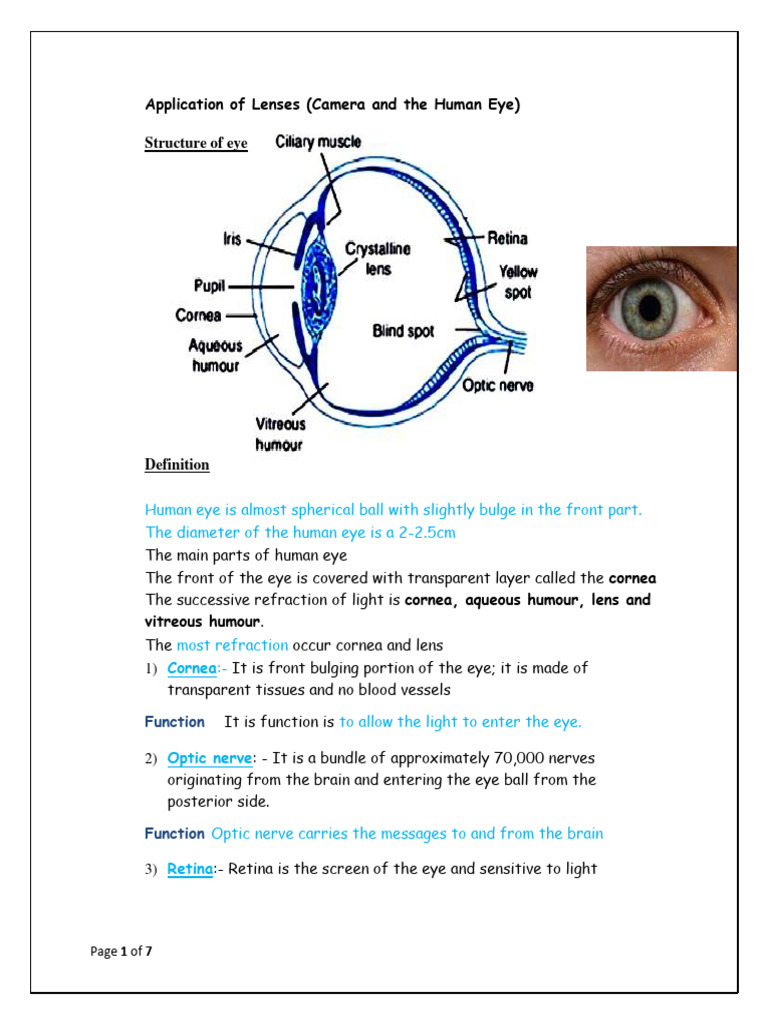 Application of Lenses | PDF | Eye | Human Eye