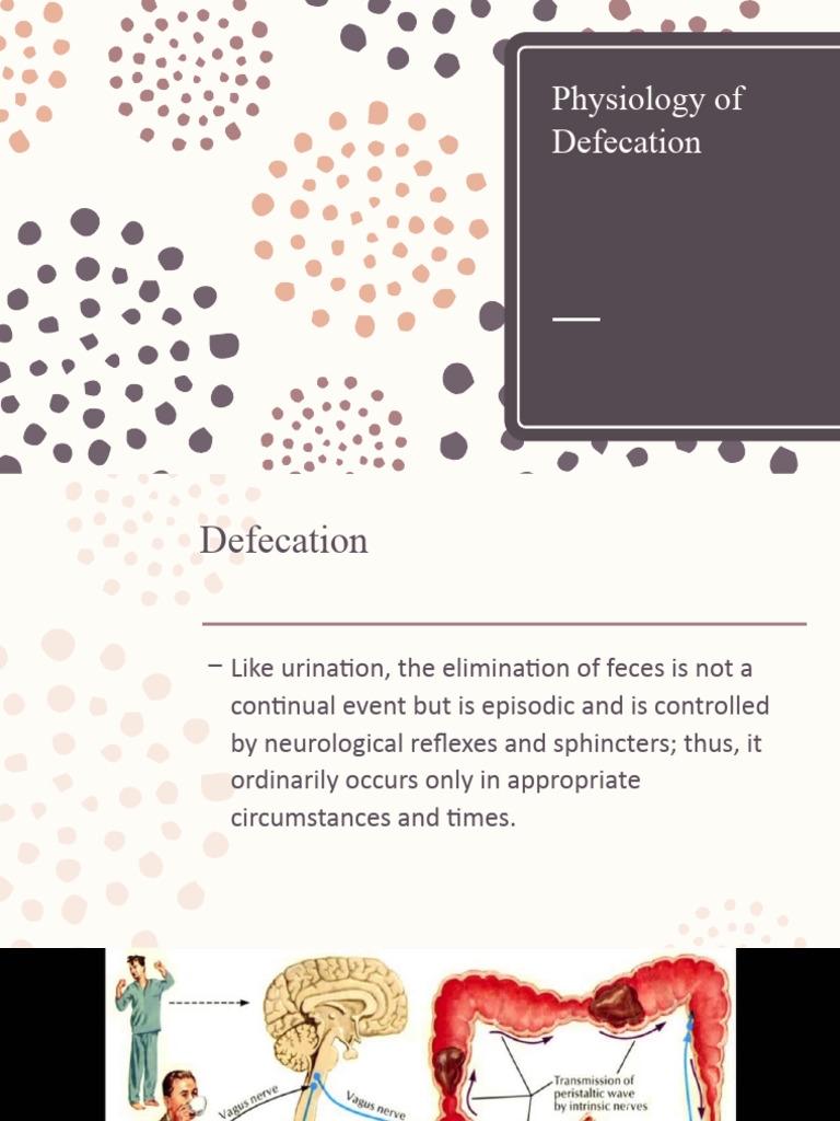 Physiology of Defecation | PDF | Rectum | Constipation