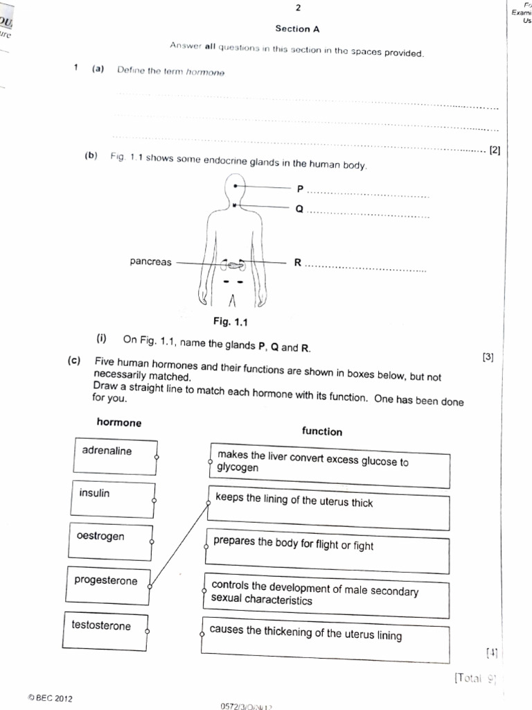 Adobe Scan 07 Jun 2024 | PDF | Hormone | Endocrine System
