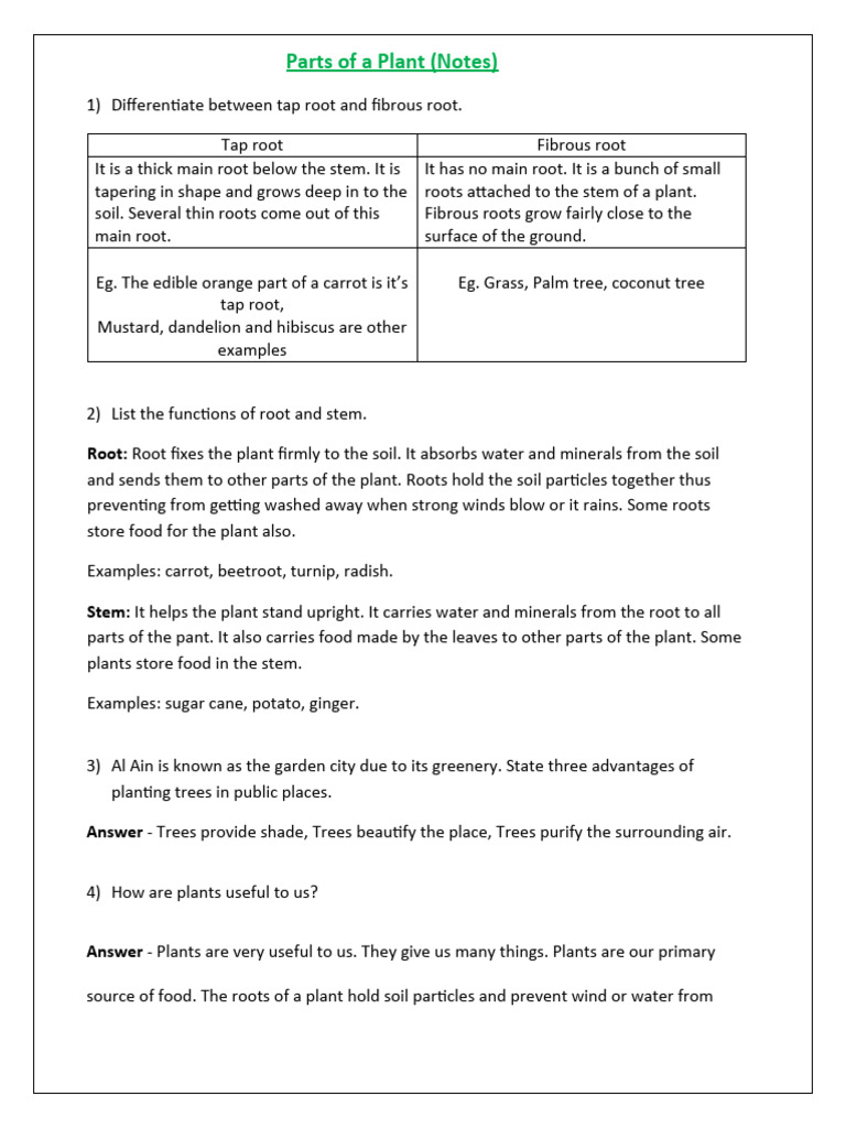 Parts of a plant - Notes-1 | PDF | Root | Plants