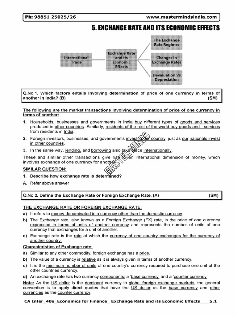 5 Exchange Rate and Its Economic Effects | PDF