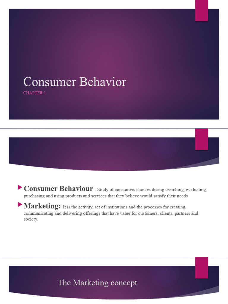Consumer Behaviour Chapter 1 | Download Free PDF | Market Segmentation ...