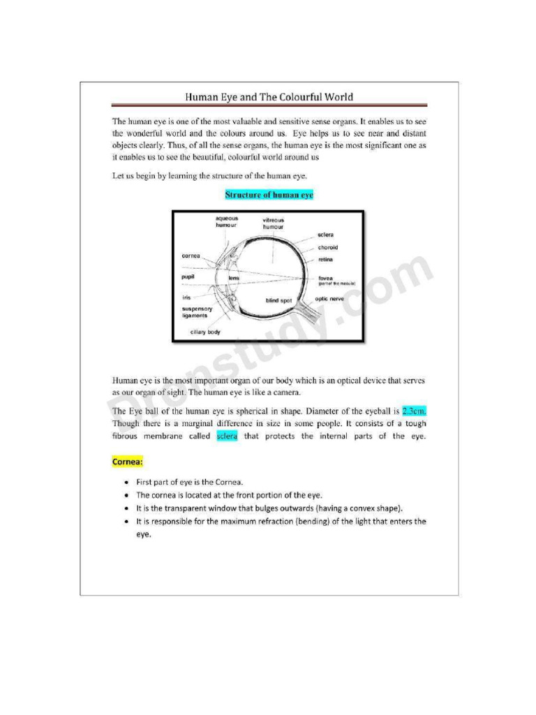 STRUCTURE OF HUMAN EYE AND DEFECTS | PDF