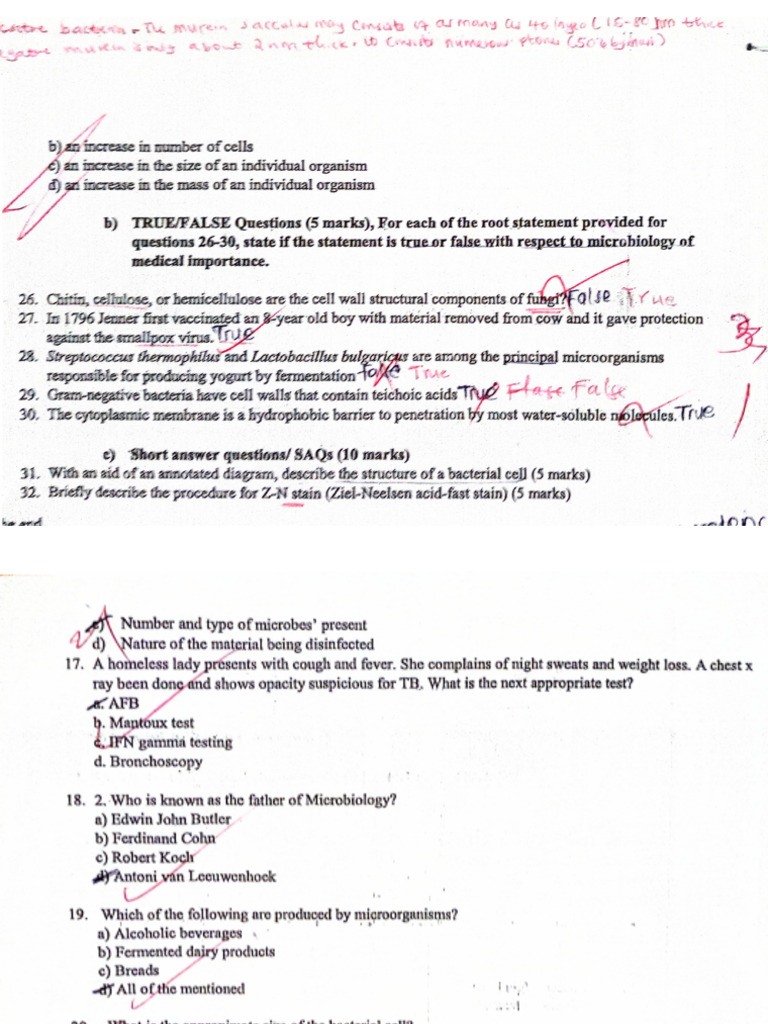 Microbiology Cat | PDF