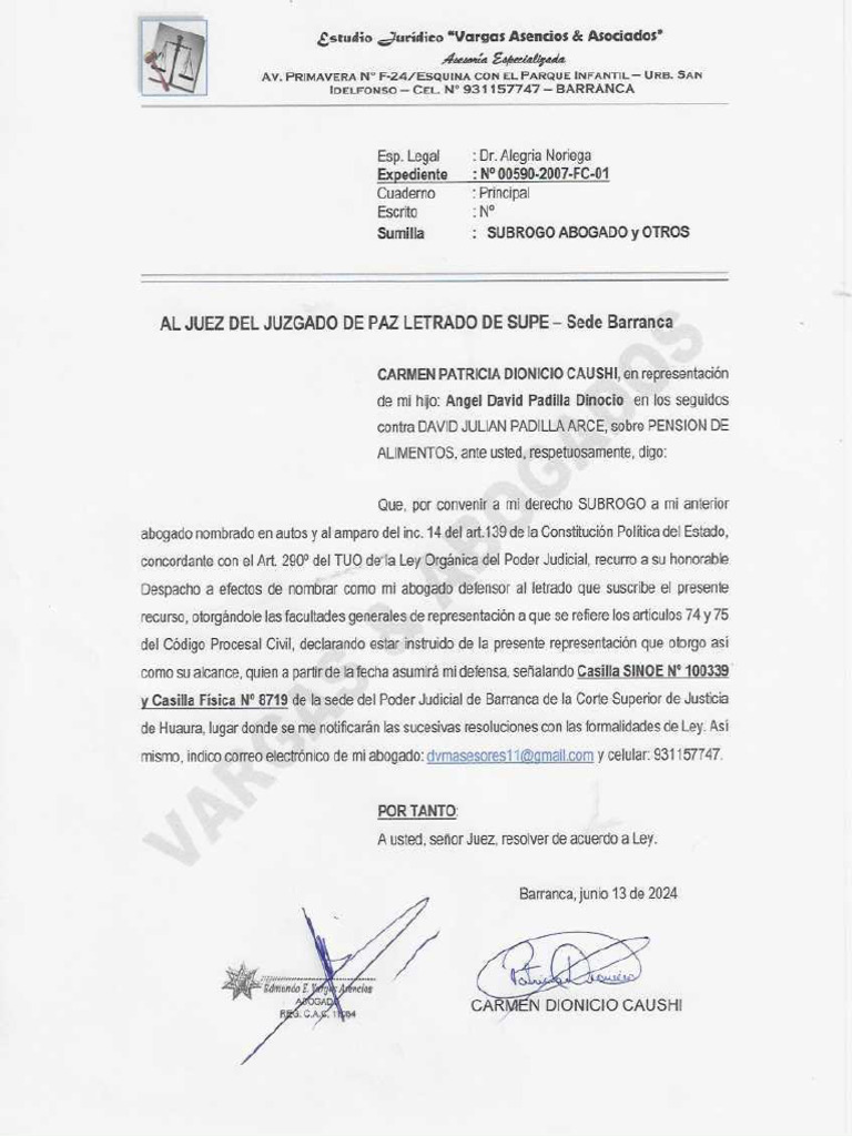 Carmen Dionicio - Apersonamiento | PDF