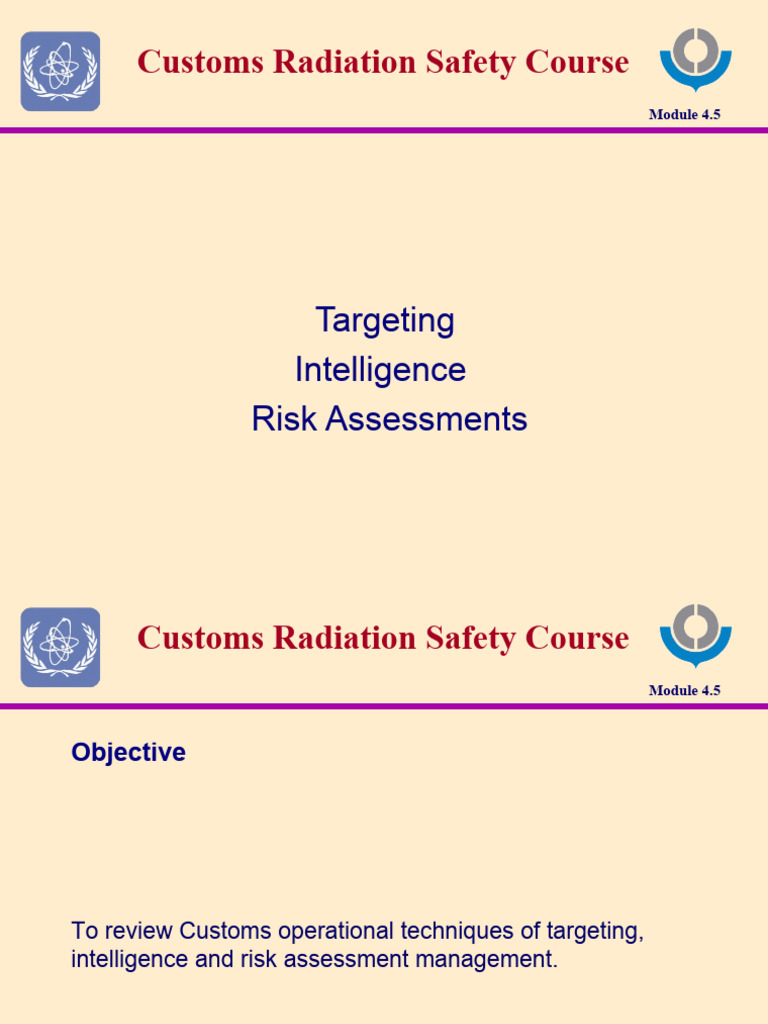 CUSTOMS Block 4.4 Targeting Intelligence Risk Assessment | PDF ...