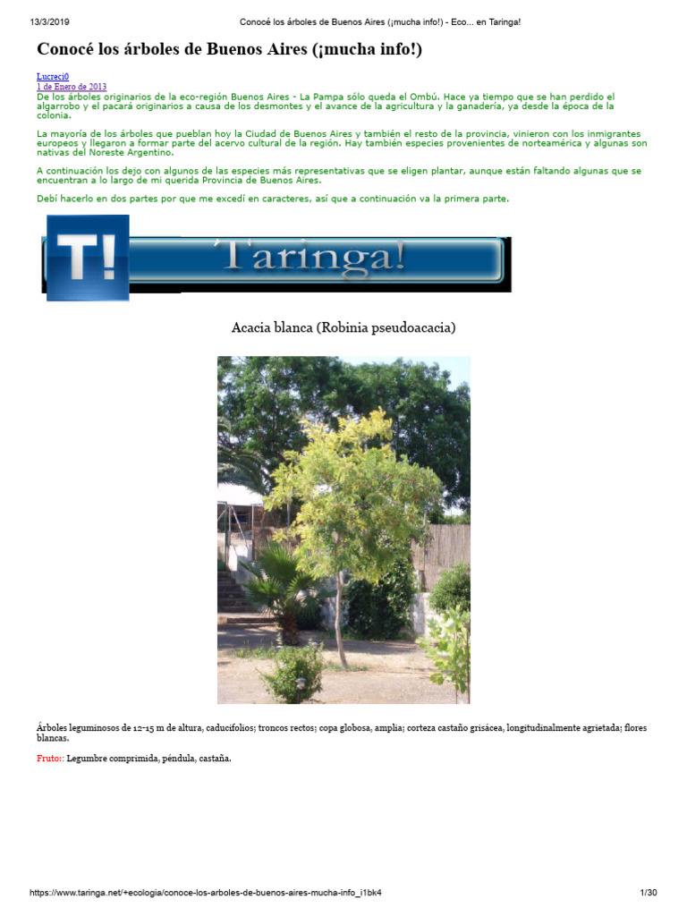 Conocé los árboles de Buenos Aires (¡mucha info!) - Eco... en Taringa! | PDF | Arboles | Ramas ...
