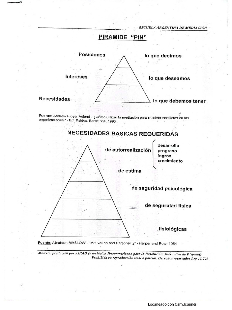 Piramide PIN - Piramide Maslow | PDF