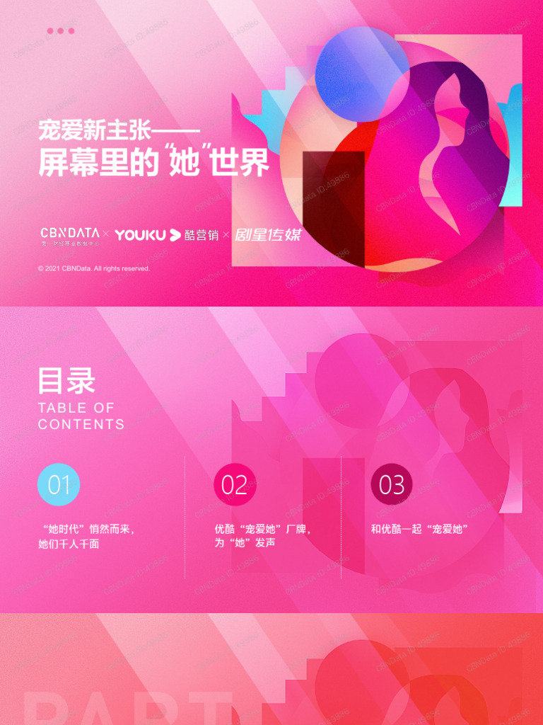 CBNData&优酷：宠爱新主张 屏幕里的"她"世界 | PDF