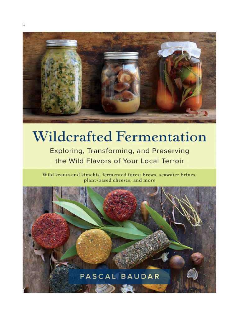 Wildcrafted Fermentation Pascal Baudar | PDF | sal | Alimentos